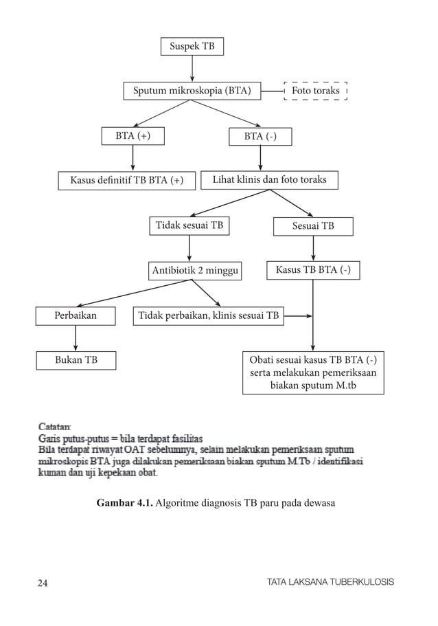 Pedoman Nasional Pelayanan Kedokteran Tata Laksana Tuberkulosis - 2013 | PDF