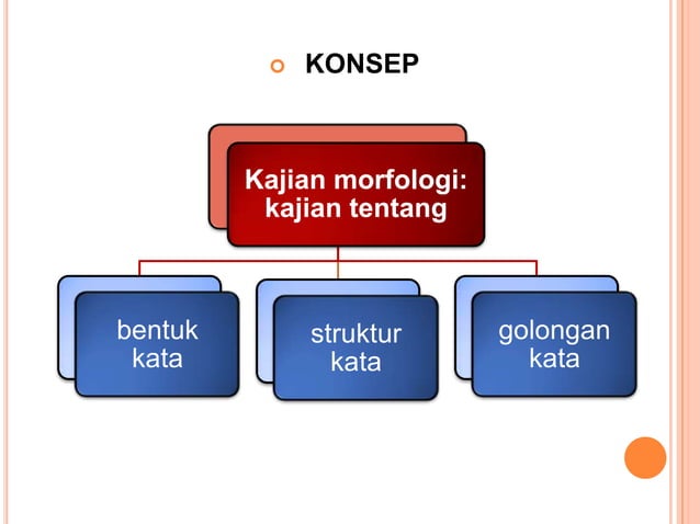 Pn raminah morfologi | PPTX