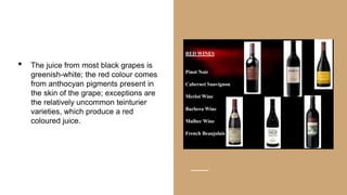 Wine Fermentation | PDF