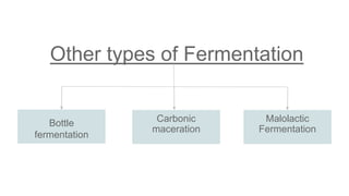Wine Fermentation | PDF