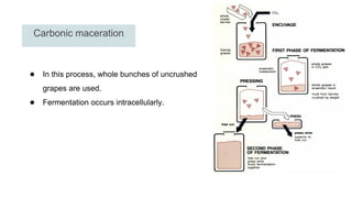 Wine Fermentation | PDF