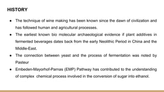 Wine Fermentation | PDF