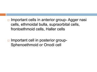 Anatomy of Paranasal Sinuses | PPTX