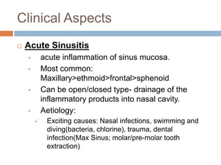 Anatomy of Paranasal Sinuses | PPTX