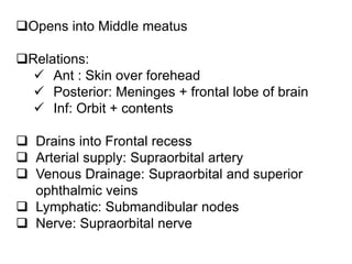 Anatomy of Paranasal Sinuses | PPTX