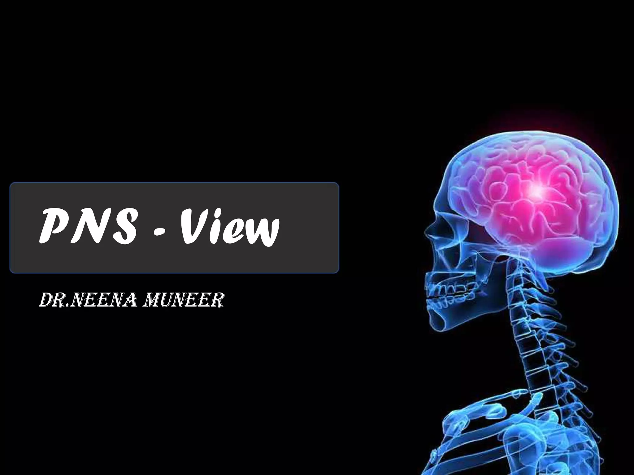 Pns view | PPT