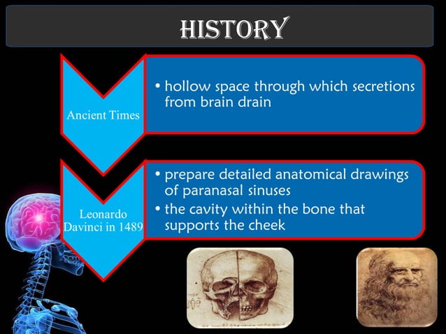 Pns view | PPT | Death, Injury, or Military Conflict | Sensitive Topics