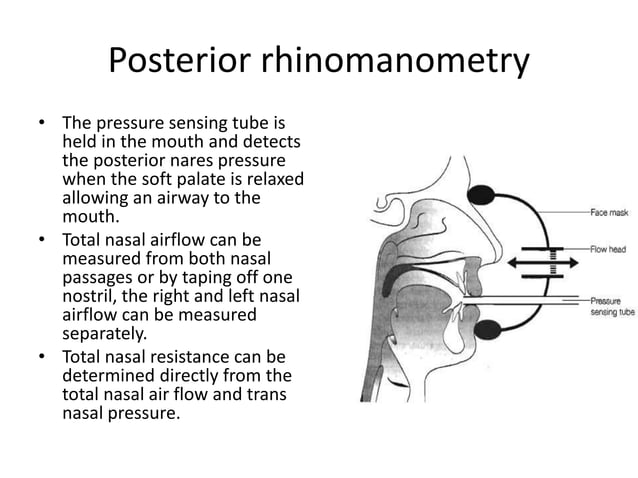 Physiology of Nose | PPTX | Ear, Nose and Throat Conditions | Diseases ...