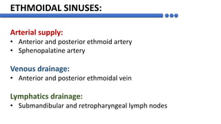anatomy of Para nasal sinus with clinical anatomy | PPTX