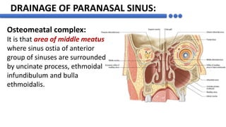 anatomy of Para nasal sinus with clinical anatomy | PPTX