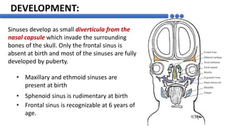 anatomy of Para nasal sinus with clinical anatomy | PPT