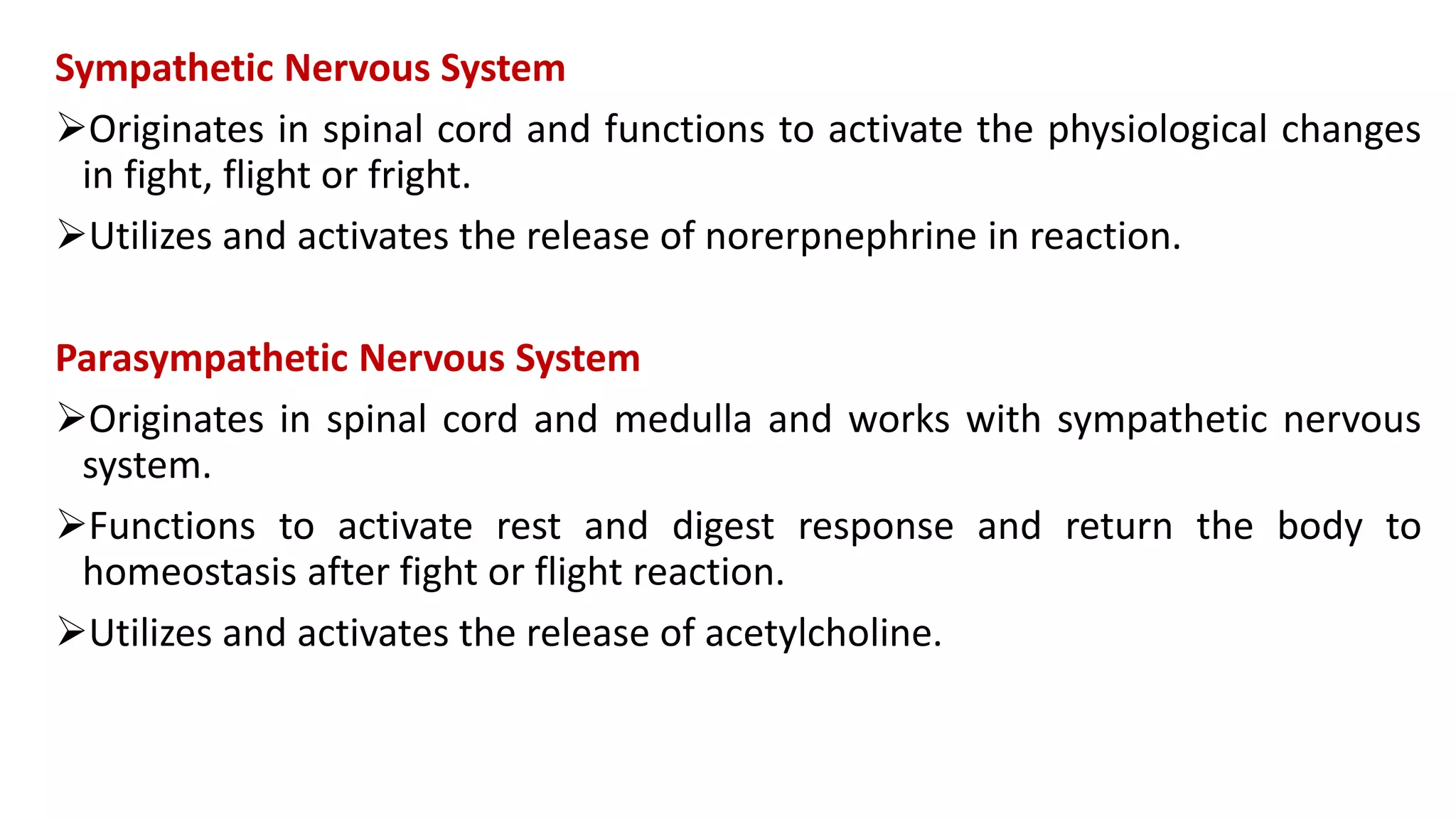 Peripheral nervous system | PPTX