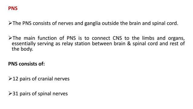 Peripheral nervous system | PPT