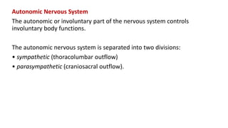 Peripheral nervous system | PPT