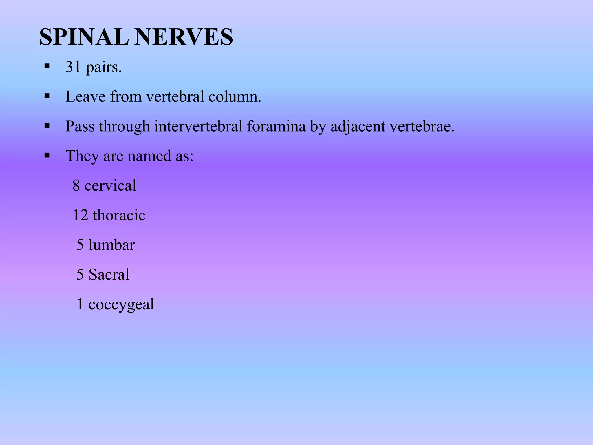 Peripheral nervous system | PPTX