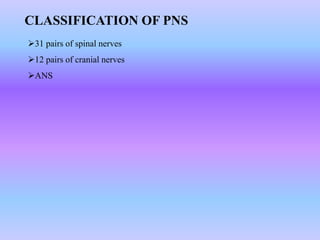 Peripheral nervous system | PPTX
