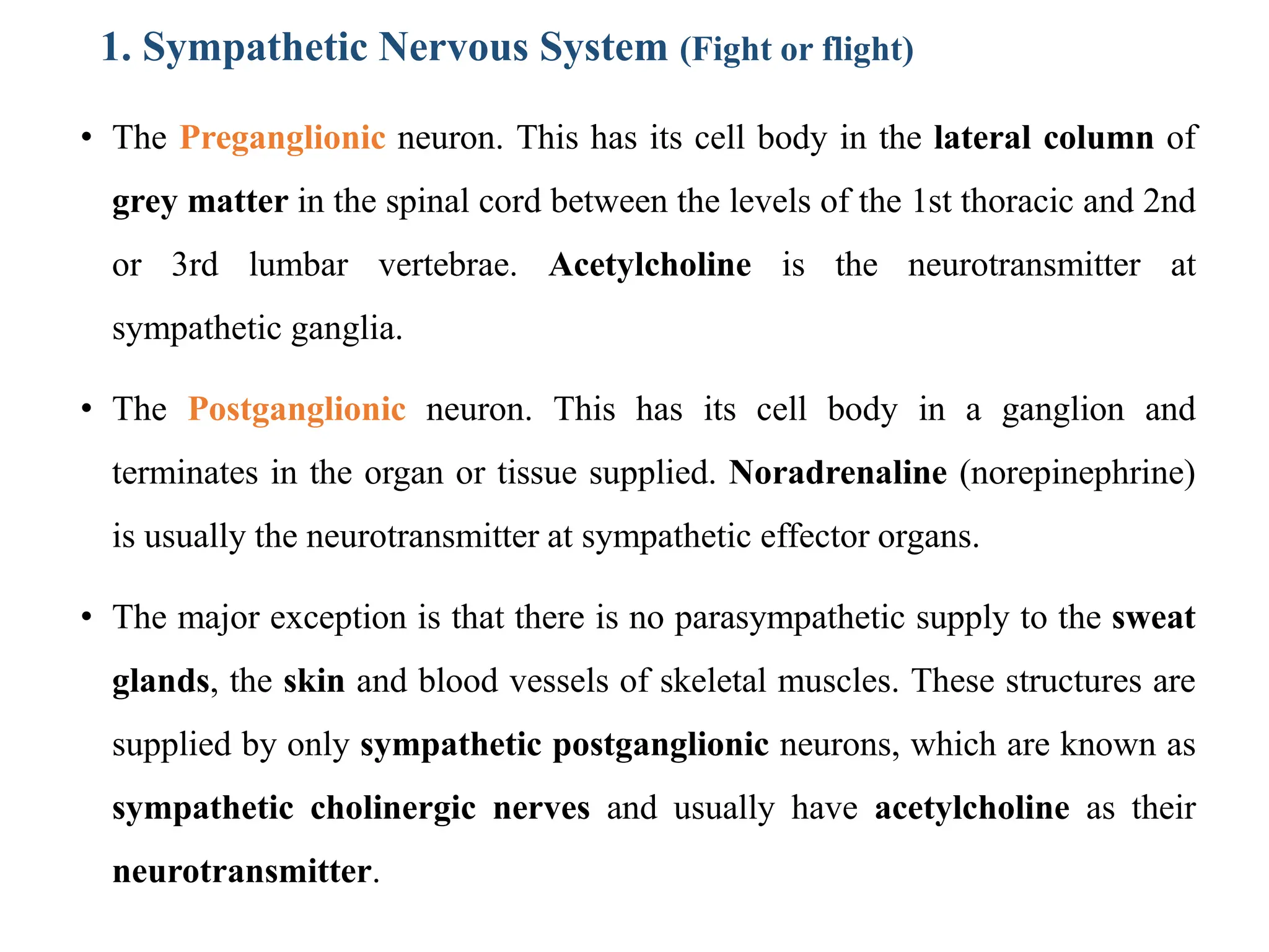 Peripheral Nervous System | PPTX