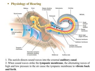 Peripheral Nervous System | PPTX