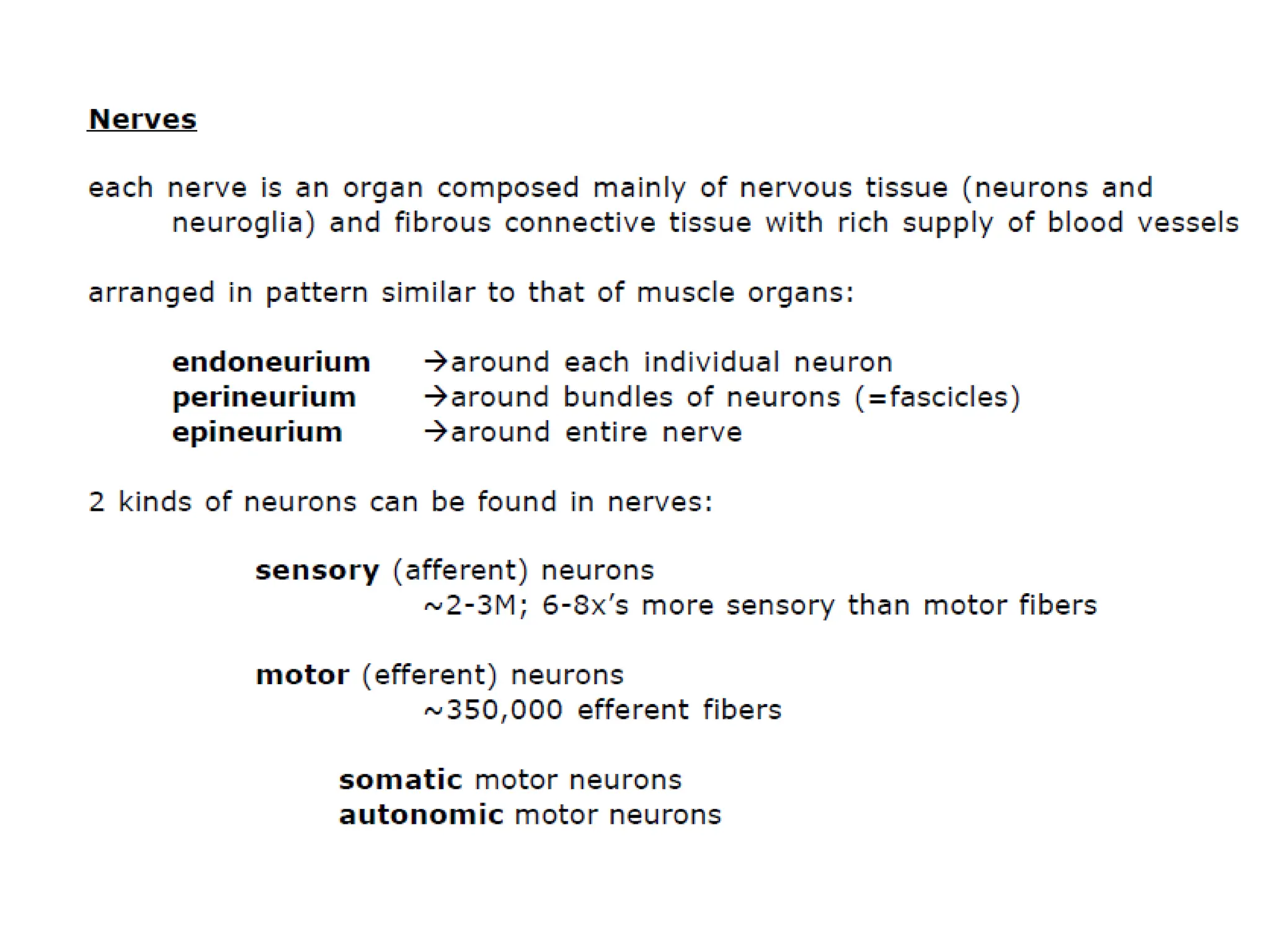 PNS - Peripheral Nervous System & Neurotransmission | PPTX