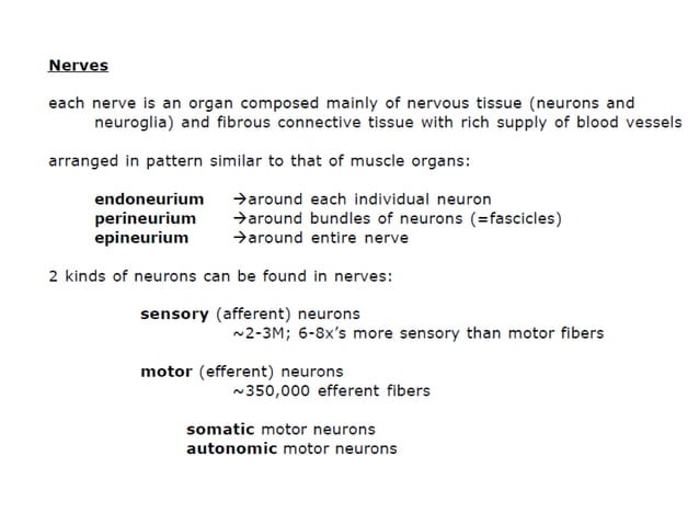 PNS - Peripheral Nervous System & Neurotransmission | PPTX | Brain and ...