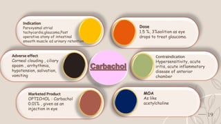 Peripheral Nervous system(Cholinergic drug) | PPTX | Brain and Nervous ...