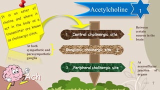 Peripheral Nervous system(Cholinergic drug) | PPTX | Brain and Nervous ...