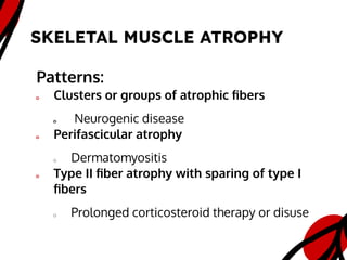 PNS-AND-SKELETAL-MUSCLES.please do not forget .pdf