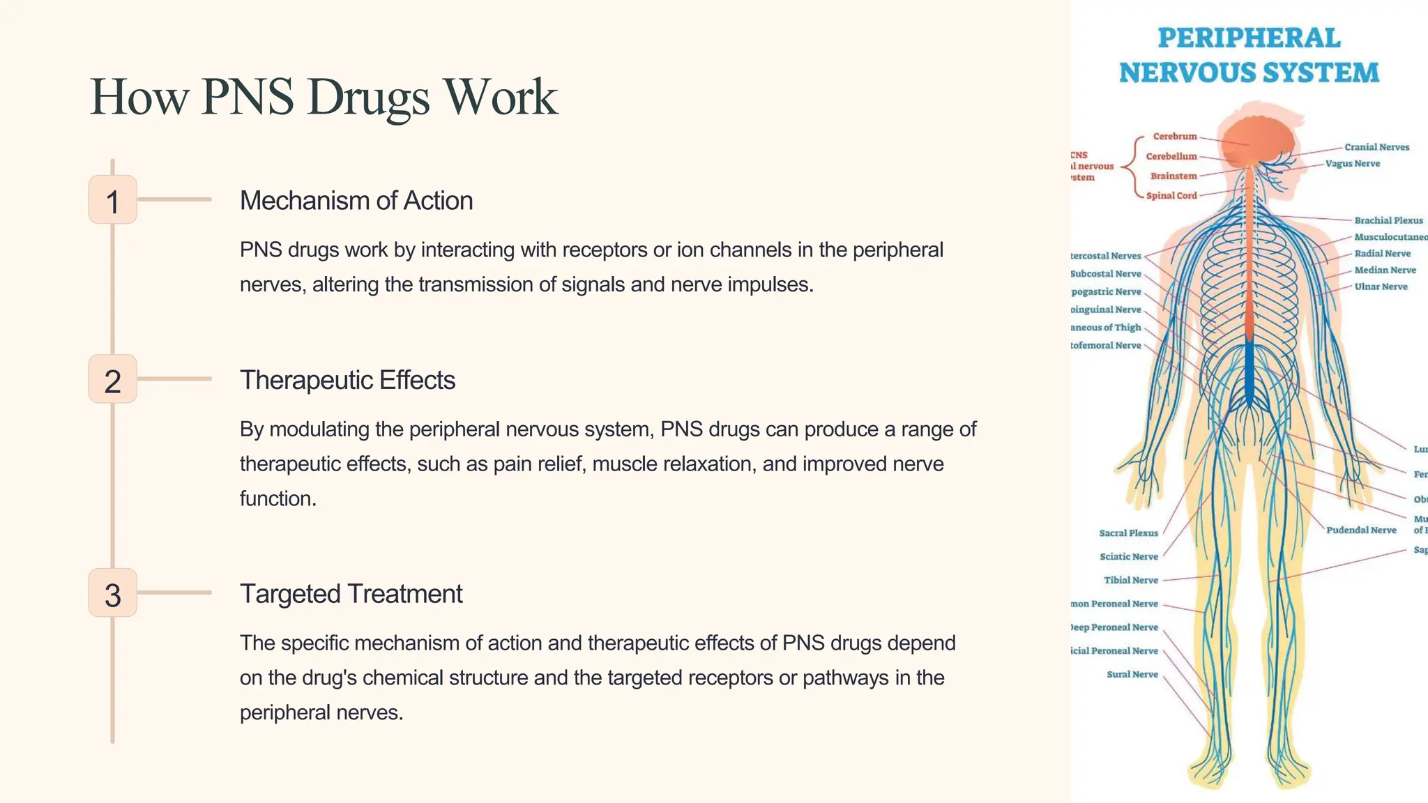 PNS-Drugs introduction classification and their effects | PPTX