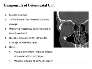 PNS- radiological anatomy (wecompress.com) (1).pptx
