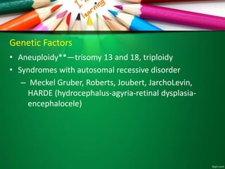 prenatal diagnosis | PPT