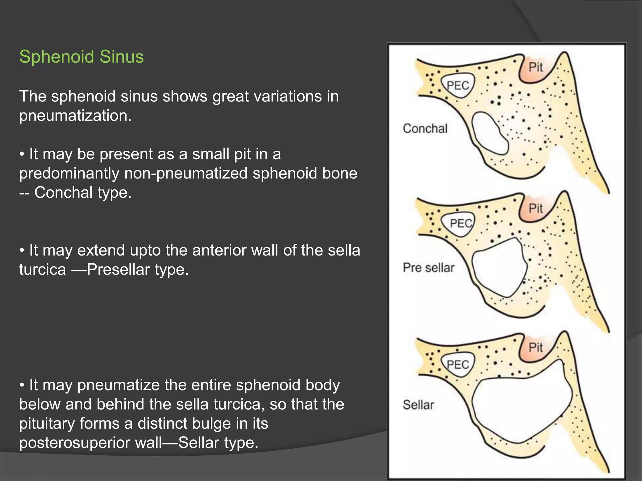 PNS (Para-nasal-sinuses) anatomy and variants | PPTX