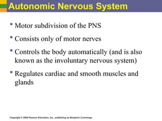 Learning the Peripheral Nervous System.pptx