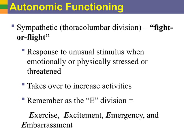 Learning the Peripheral Nervous System.pptx