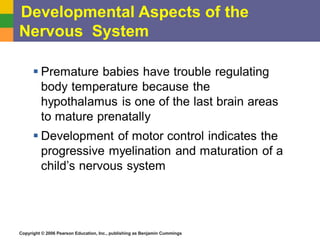Learning the Peripheral Nervous System.pptx