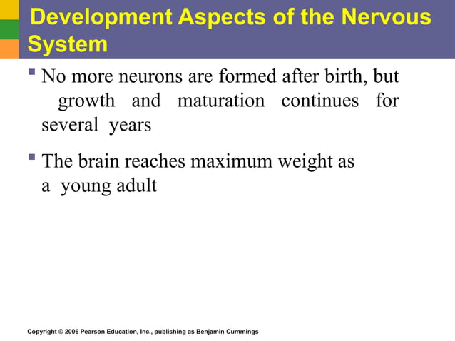 Learning the Peripheral Nervous System.pptx