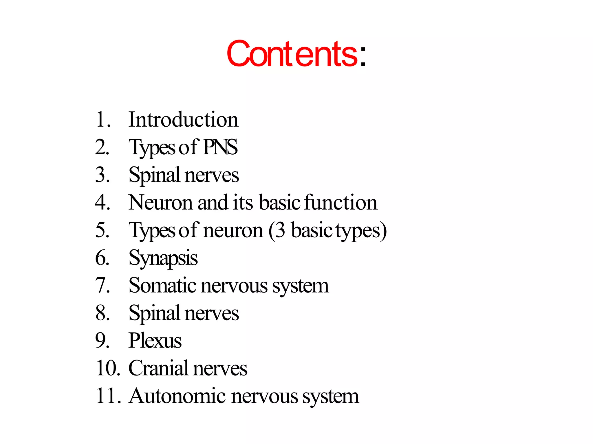 Peripheral Nervous System, Audumbar Mali | PPTX