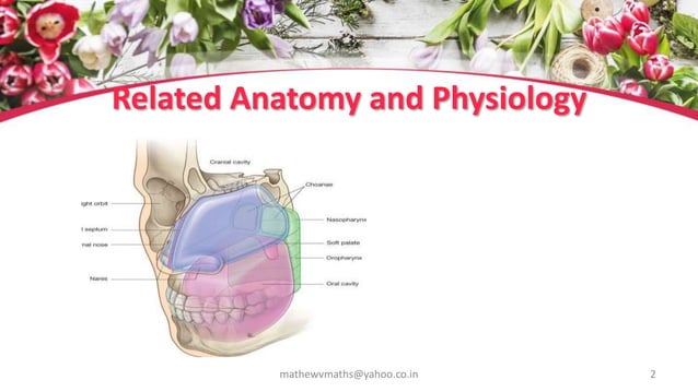 Nasal and Para nasal inflammatory disease PPT | PPTX | Ear, Nose and Throat Conditions ...