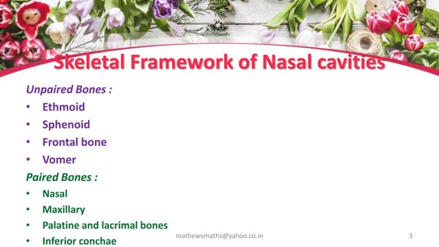 Nasal and Para nasal inflammatory disease PPT | PPTX | Ear, Nose and Throat Conditions ...