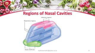 Nasal and Para nasal inflammatory disease PPT | PPTX