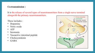 ORGANIZATION AND FUNCTIONS OF ANS, NEUROHUMORAL TRANSMISSION | PPTX