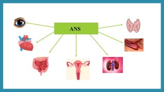 ORGANIZATION AND FUNCTIONS OF ANS, NEUROHUMORAL TRANSMISSION | PPTX