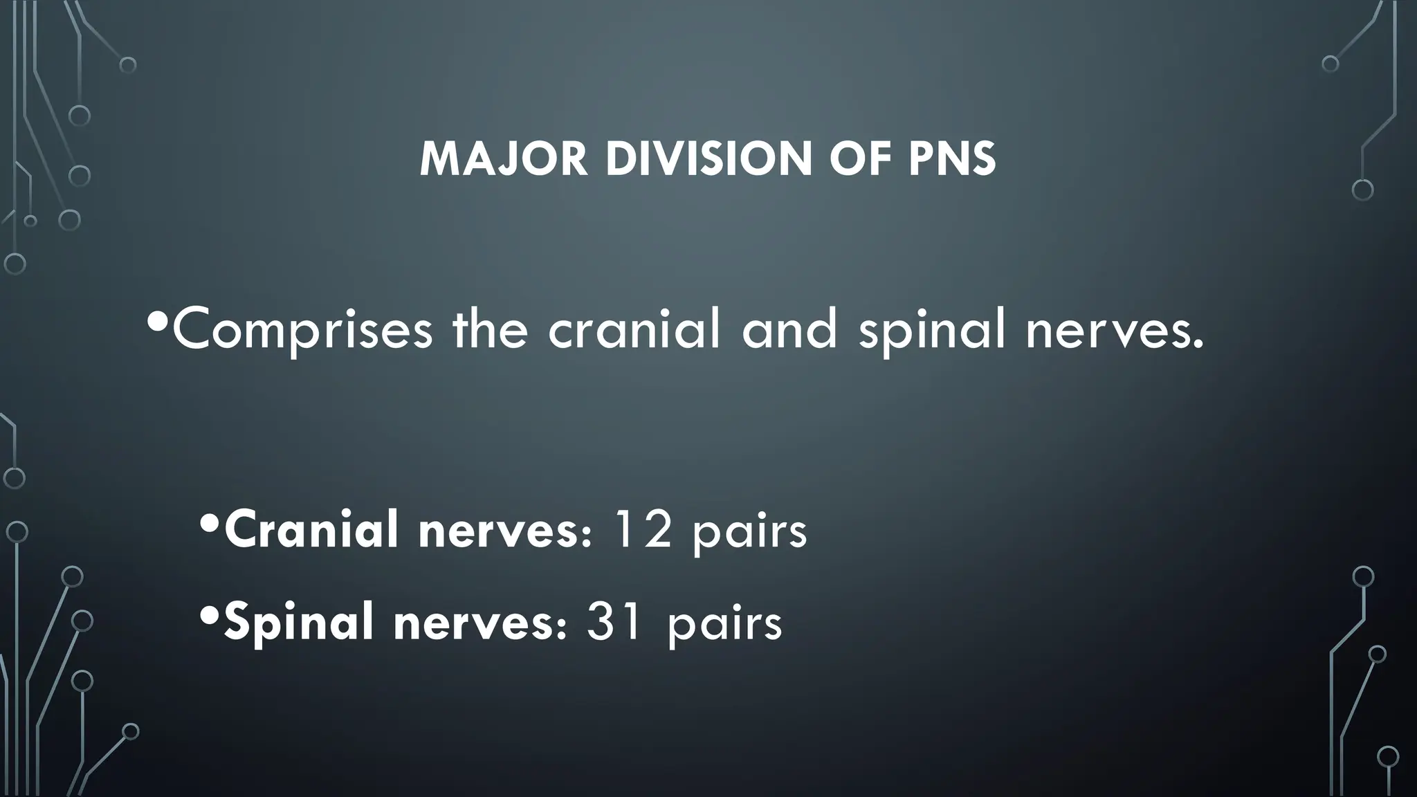 PNS Neuro.pptx Peripheral Nervous System PNS | PPTX