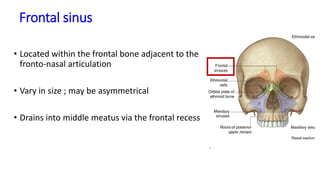 Anatomy and Xray of PNS and orbit | PPTX