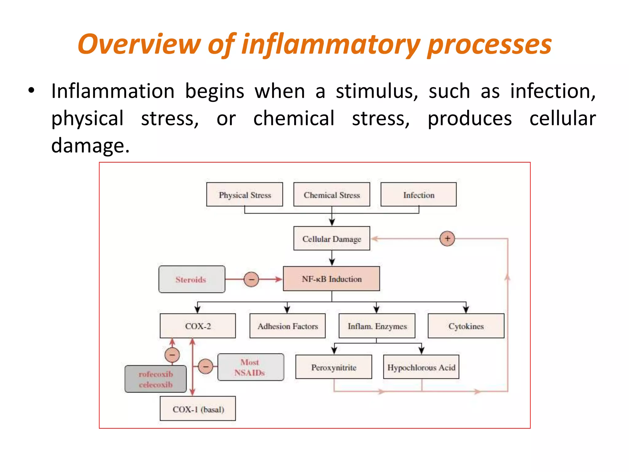 Pathophysiology inflammation and repair | PPTX