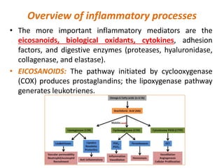 Pathophysiology inflammation and repair | PPTX