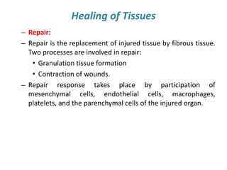 Pathophysiology inflammation and repair | PPTX