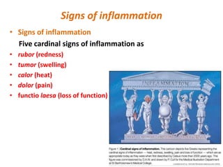 Pathophysiology inflammation and repair | PPTX