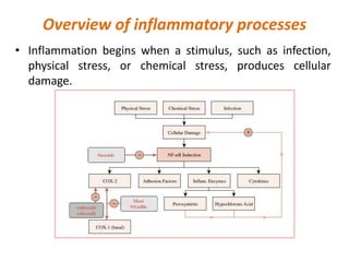 Pathophysiology inflammation and repair | PPT