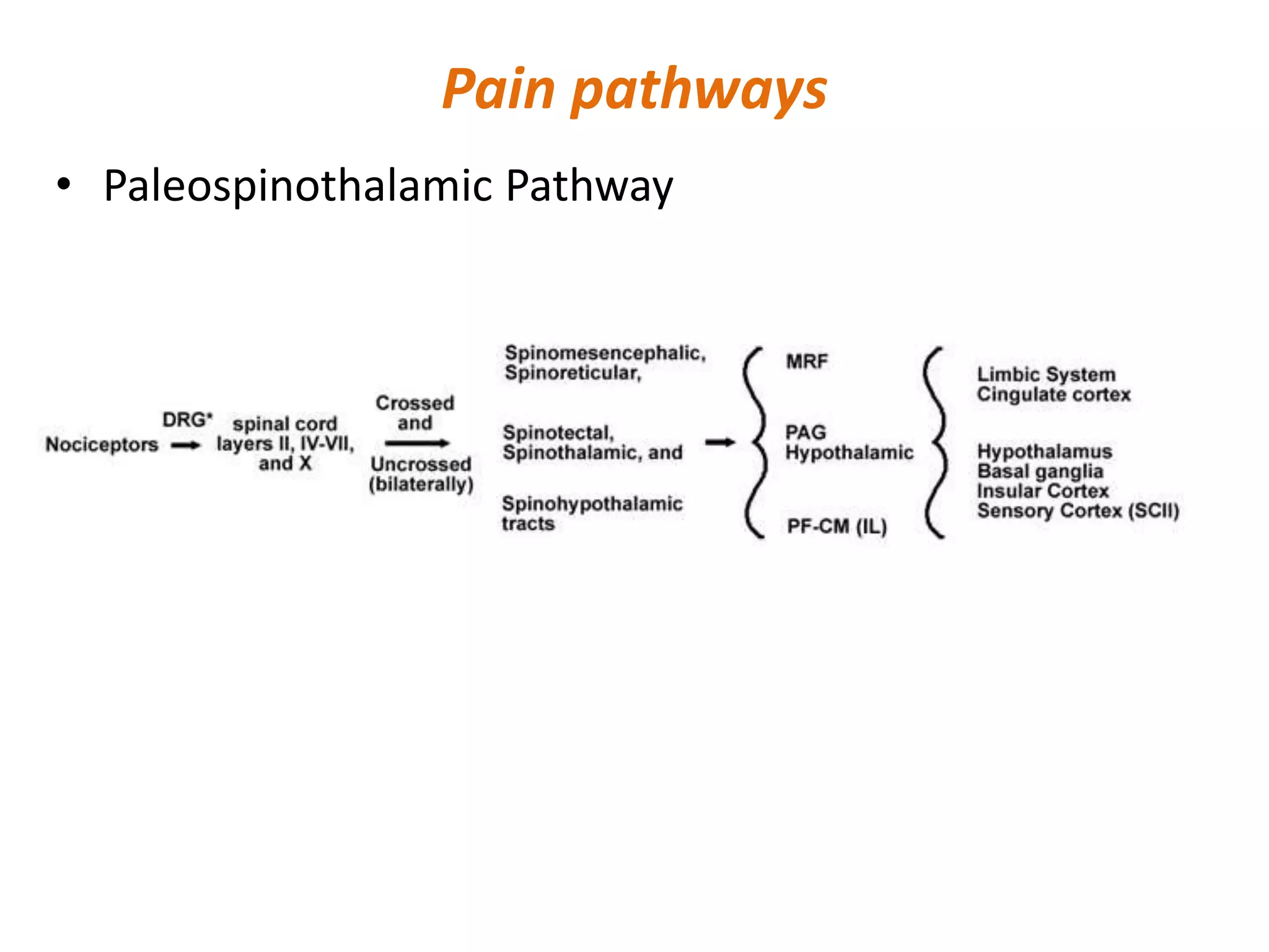 Pathophysiology pain and pain pathways | PPTX