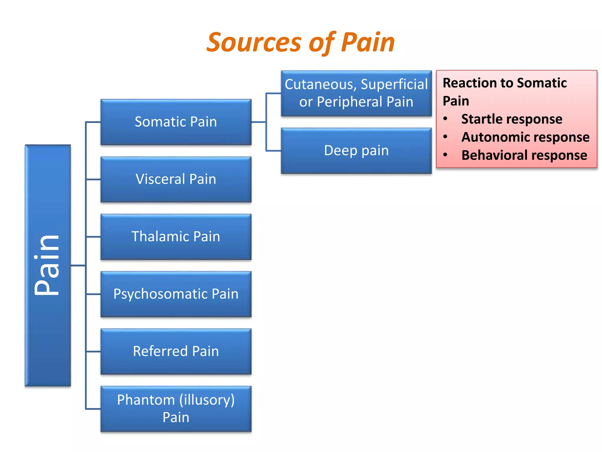 Pathophysiology pain and pain pathways | PPTX